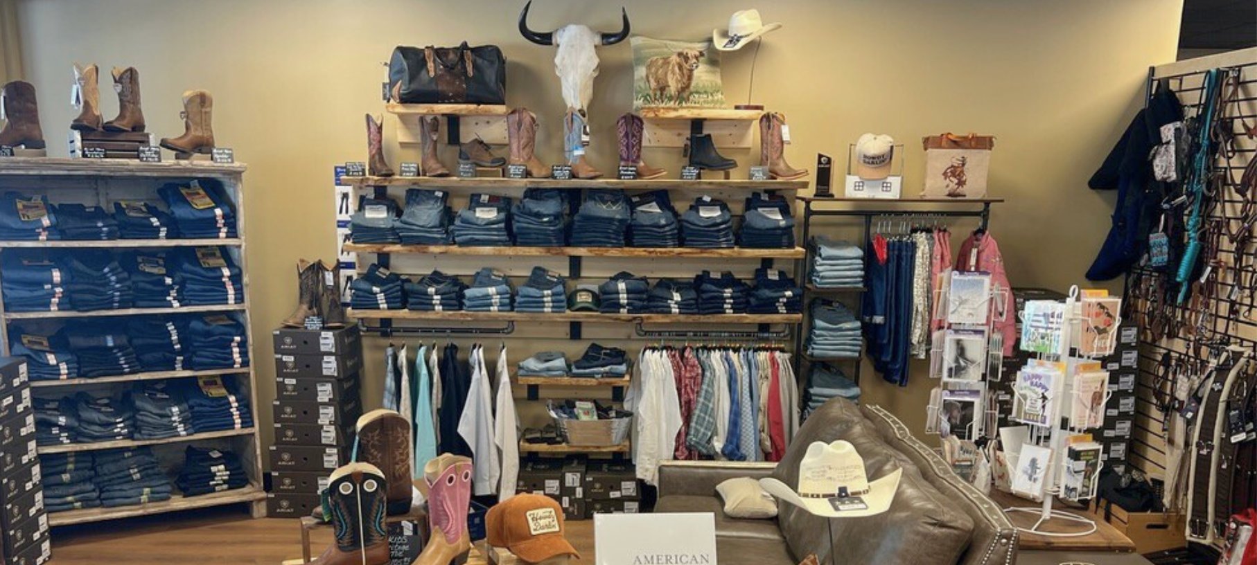 🤠 Western Riding Collection – DaMoor's Feed & Tack